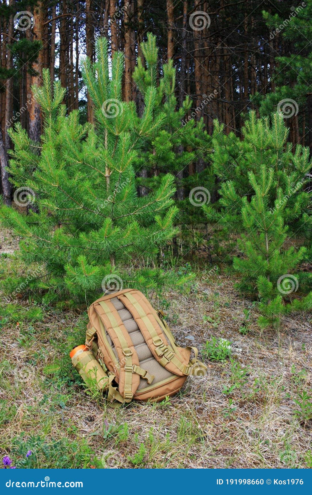 The Backpack Lies on the Ground Near a Tree Stock Photo - Image of ...