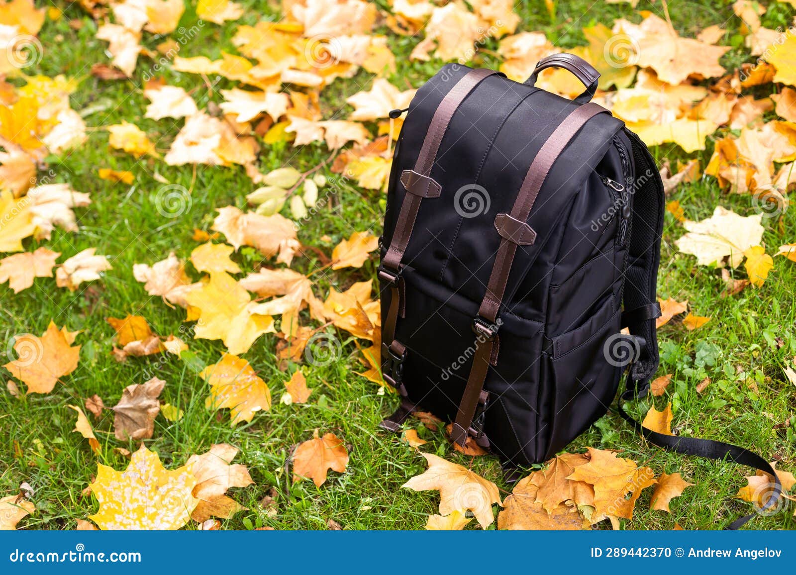 Backpack Outdoors on Autumn Nature, Hiking Theme. Stock Photo - Image ...