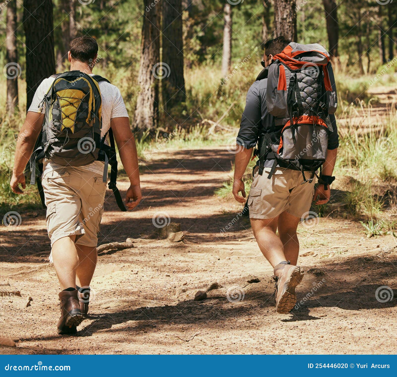 Backpacker Friends Explore Nature while Hiking in a Forest Together ...
