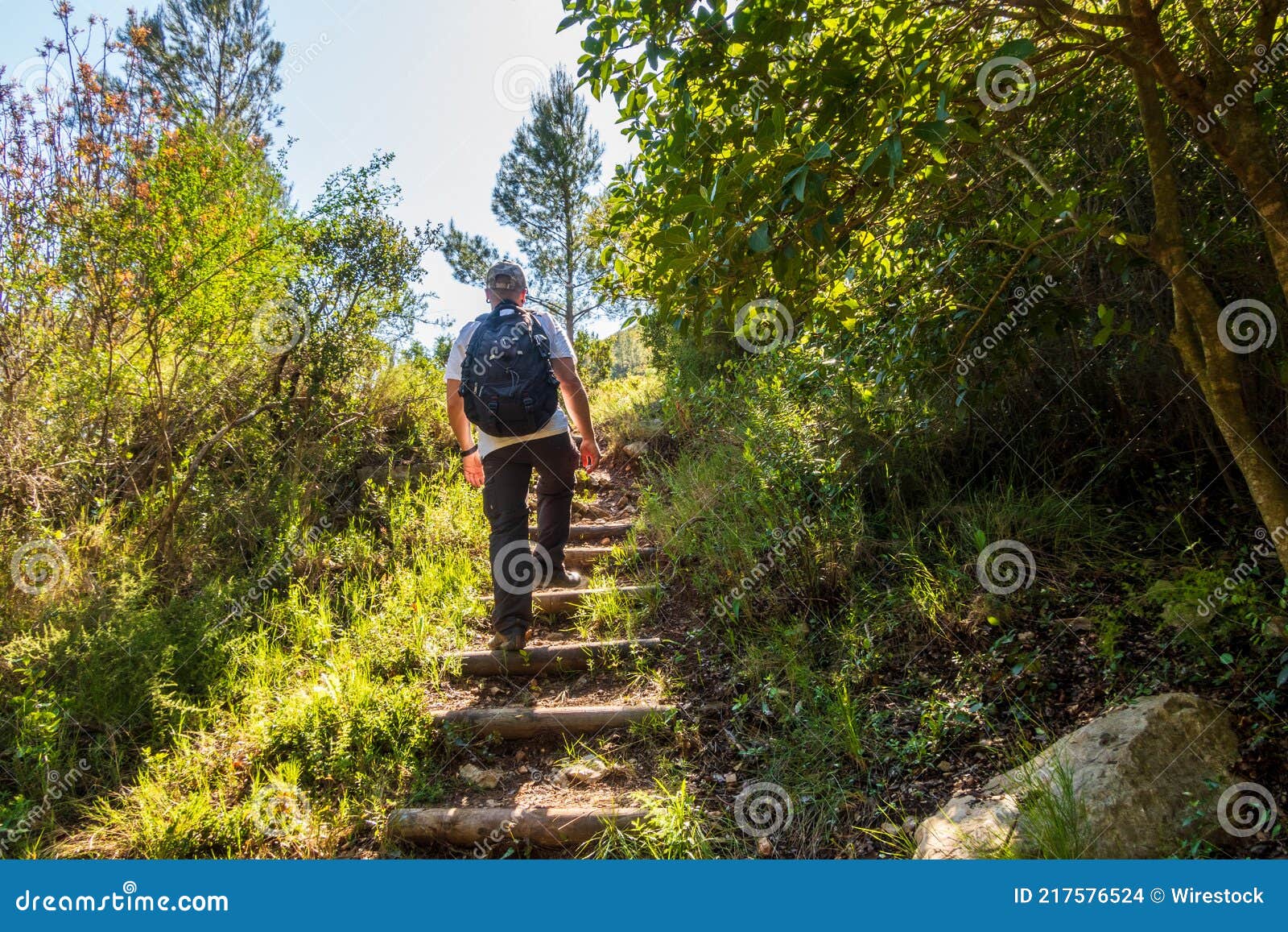 Backpacker Going Up Rough Steps Outside on a Hill Surrounded by Trees ...
