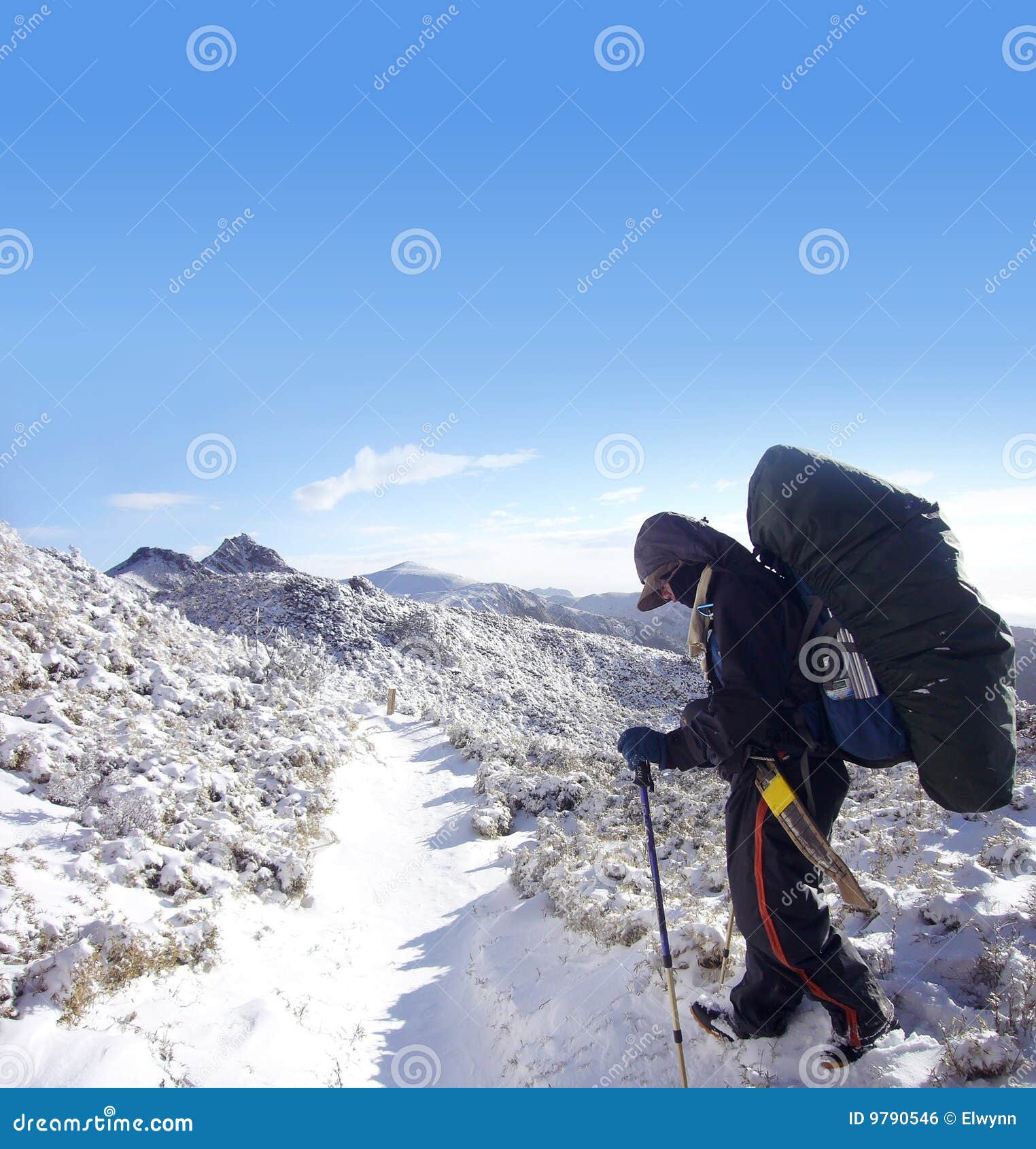 Backpacker with Heavy Pack Walk on the Snow Stock Photo - Image of ...