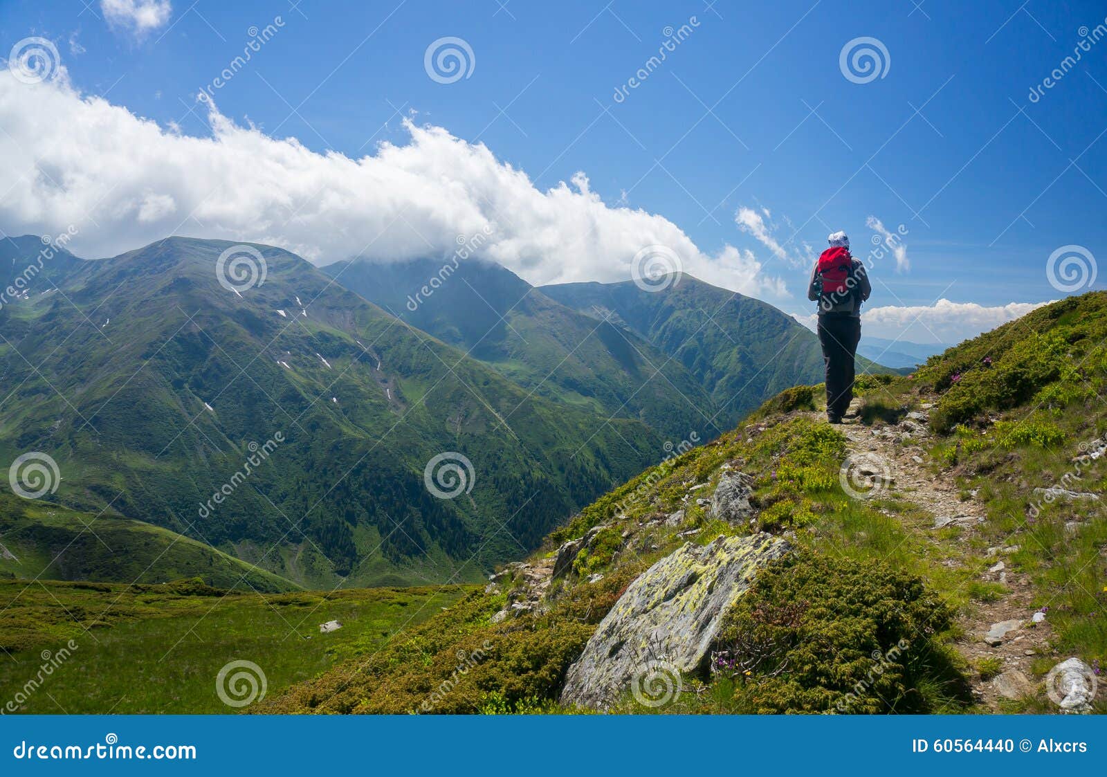 Backpacker Hiking on a Path in the Mountains Stock Photo - Image of ...