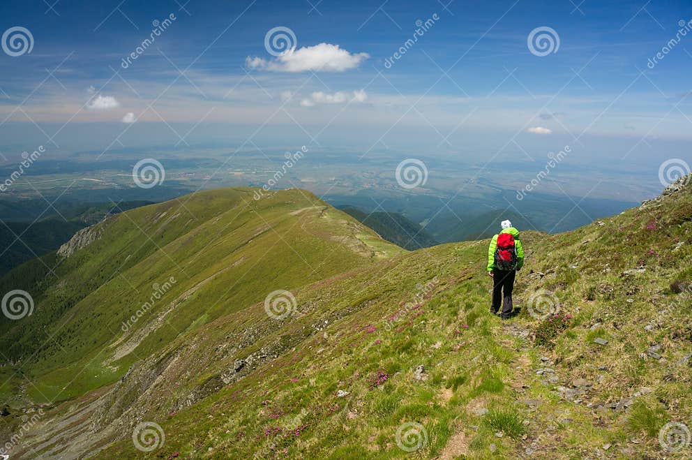 Backpacker Hiking on a Path in the Mountains Stock Photo - Image of ...
