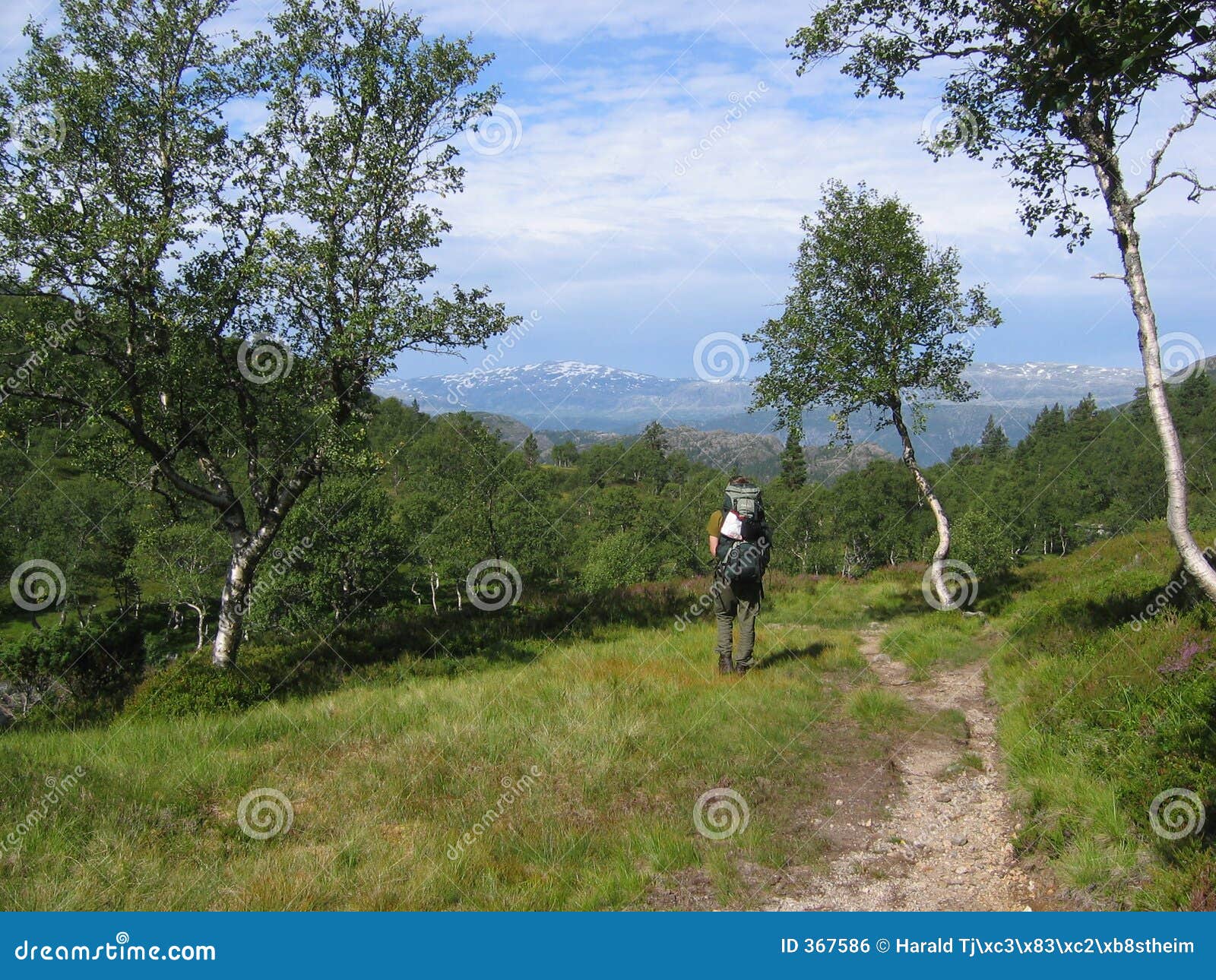 Backpacker Tracking in Nature Stock Photo - Image of peaceful, outside ...