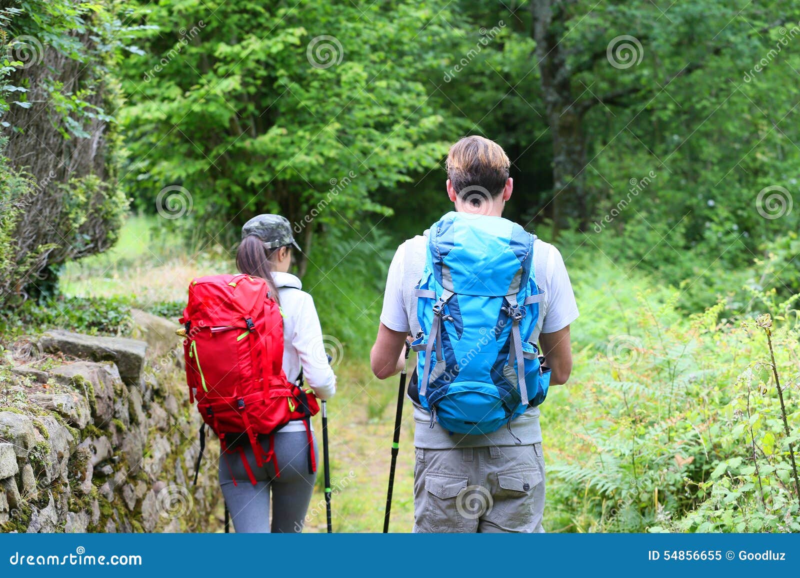 Backpackers Hikers Walking in Forest Stock Image - Image of outside ...