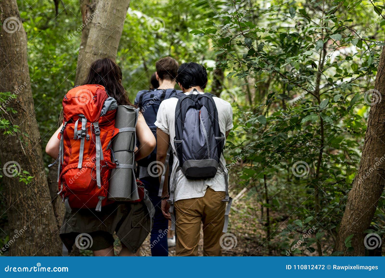 Backpackers Trekking in a Forest Stock Photo - Image of european ...