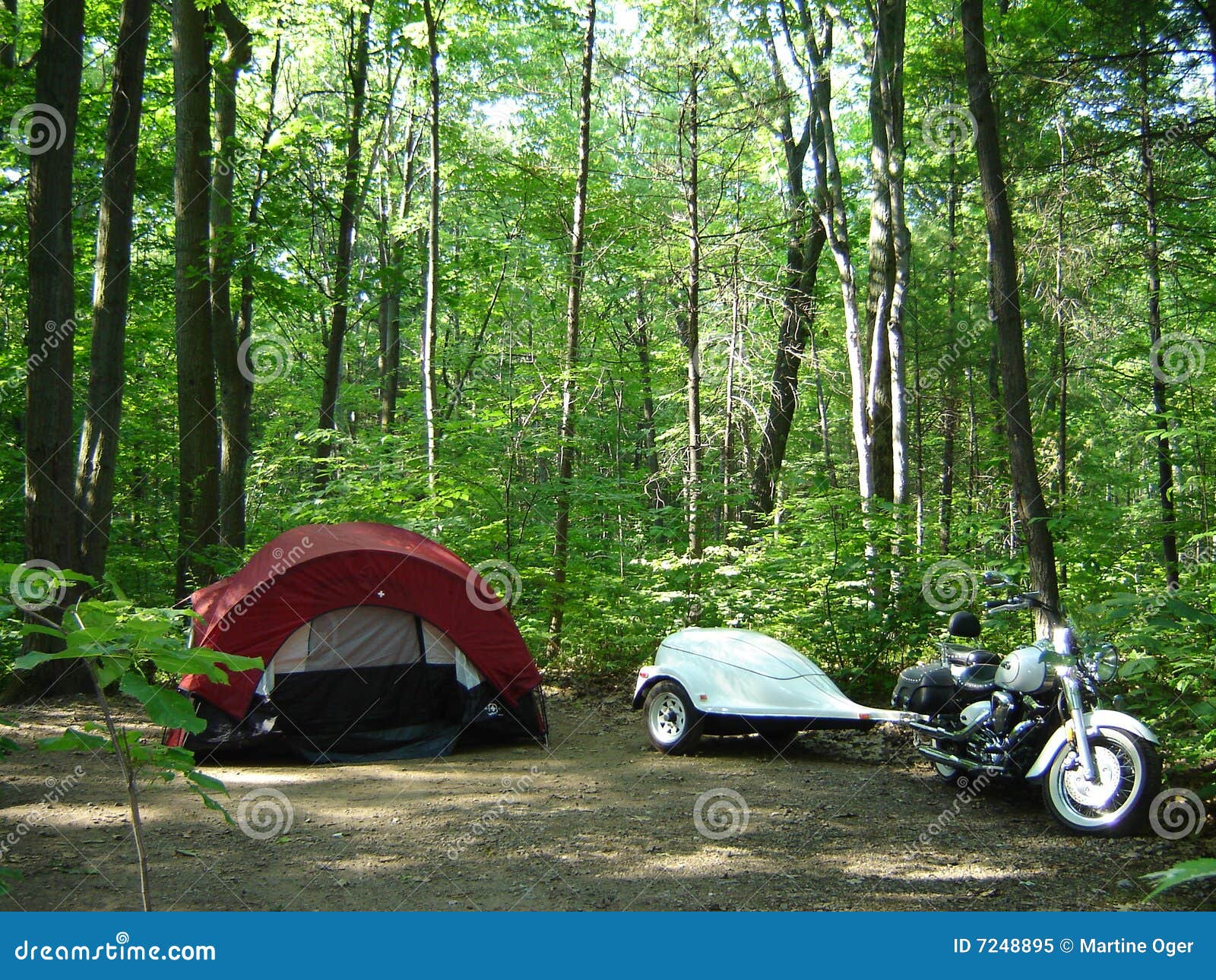 Backpacking in Canadian Forest Stock Image - Image of backpacker ...