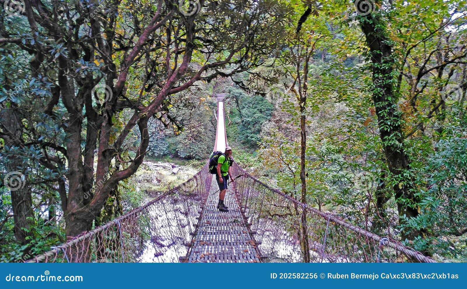Backpacking Hiker Crossing a Suspension Bridge Over a Nepal River ...