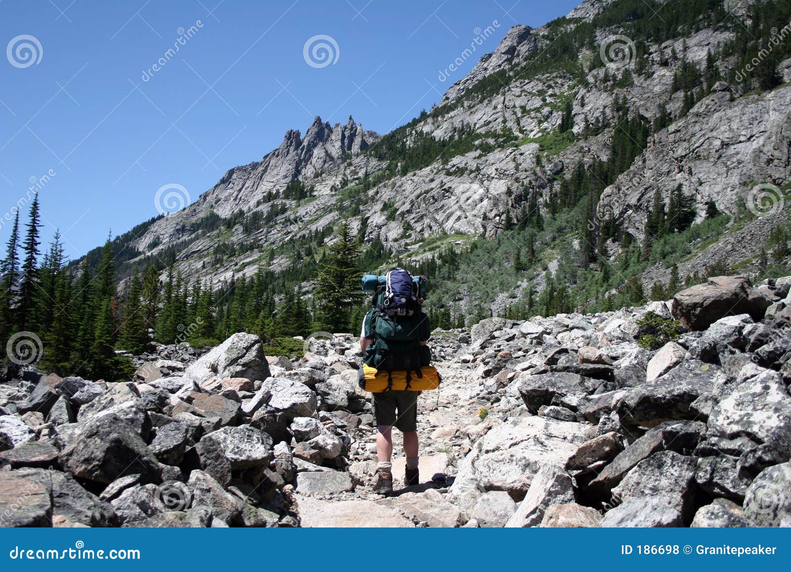 Backpacking in Montana stock photo. Image of active, bedroll - 186698