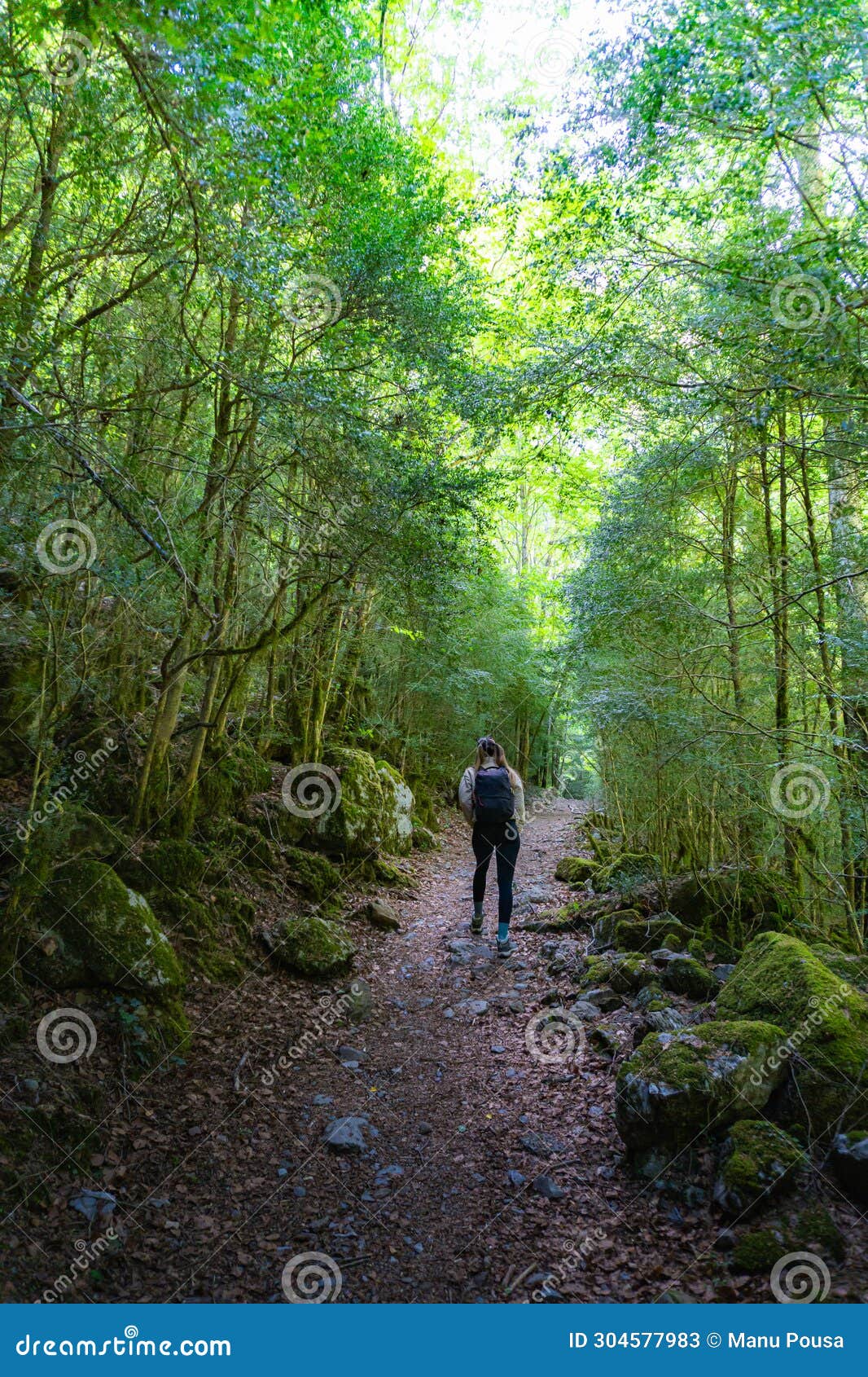 Backpacking Woman Hiking a Path among Pyrenees Trees Stock Image ...