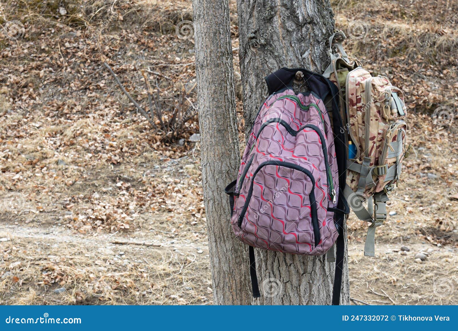 Backpacks Hanging on a Tree Stock Photo - Image of horizontal, military ...