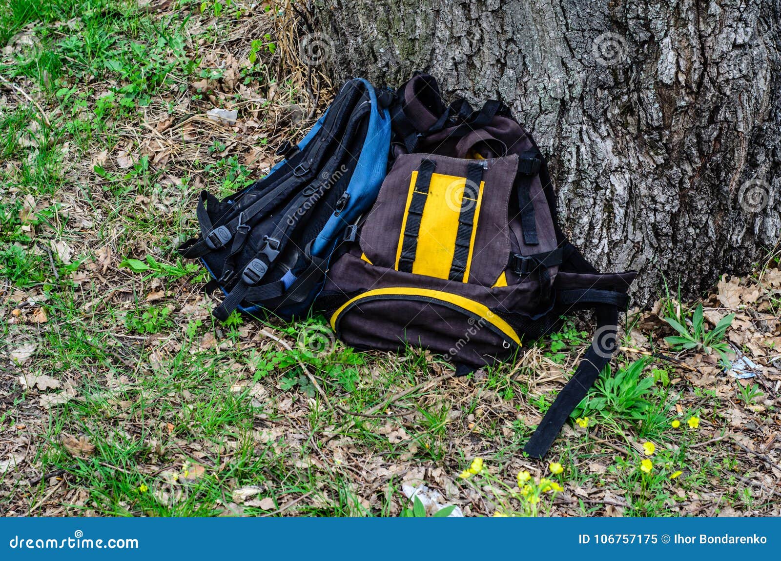 Backpacks under the tree stock image. Image of pack - 106757175