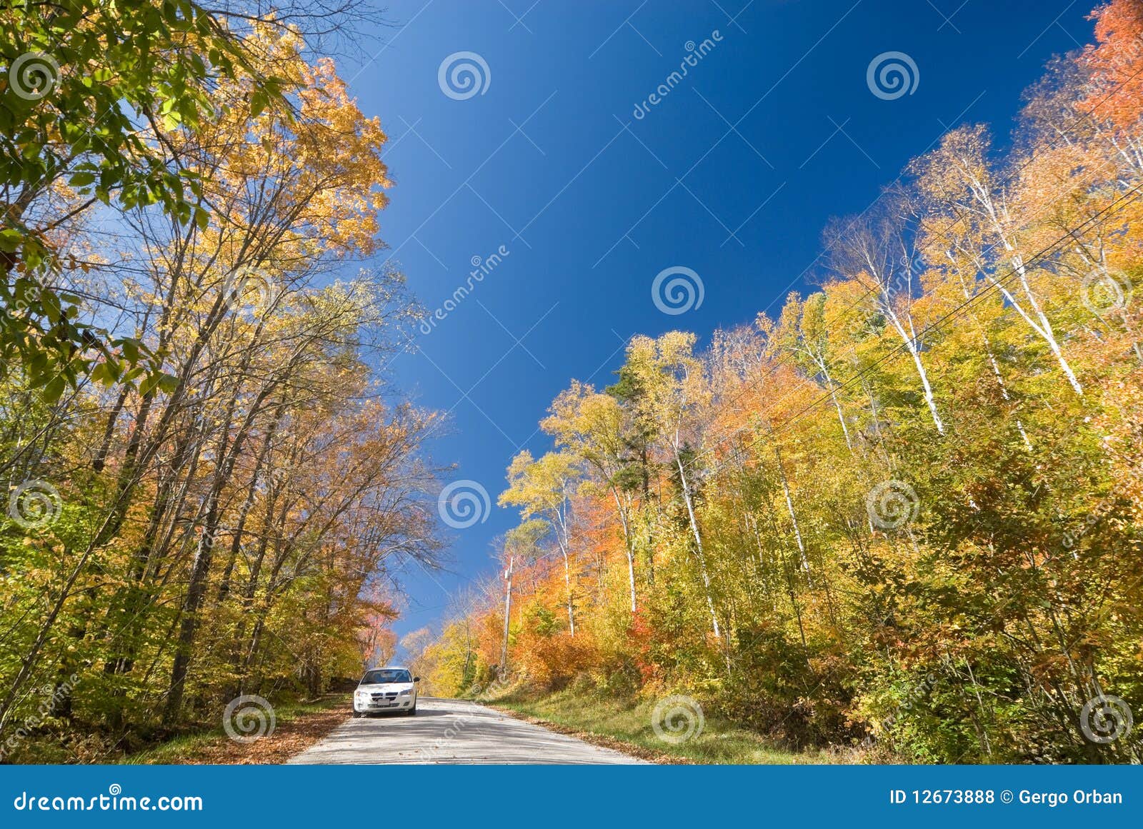 Backroad adventures stock photo. Image of sedan, forest - 12673888