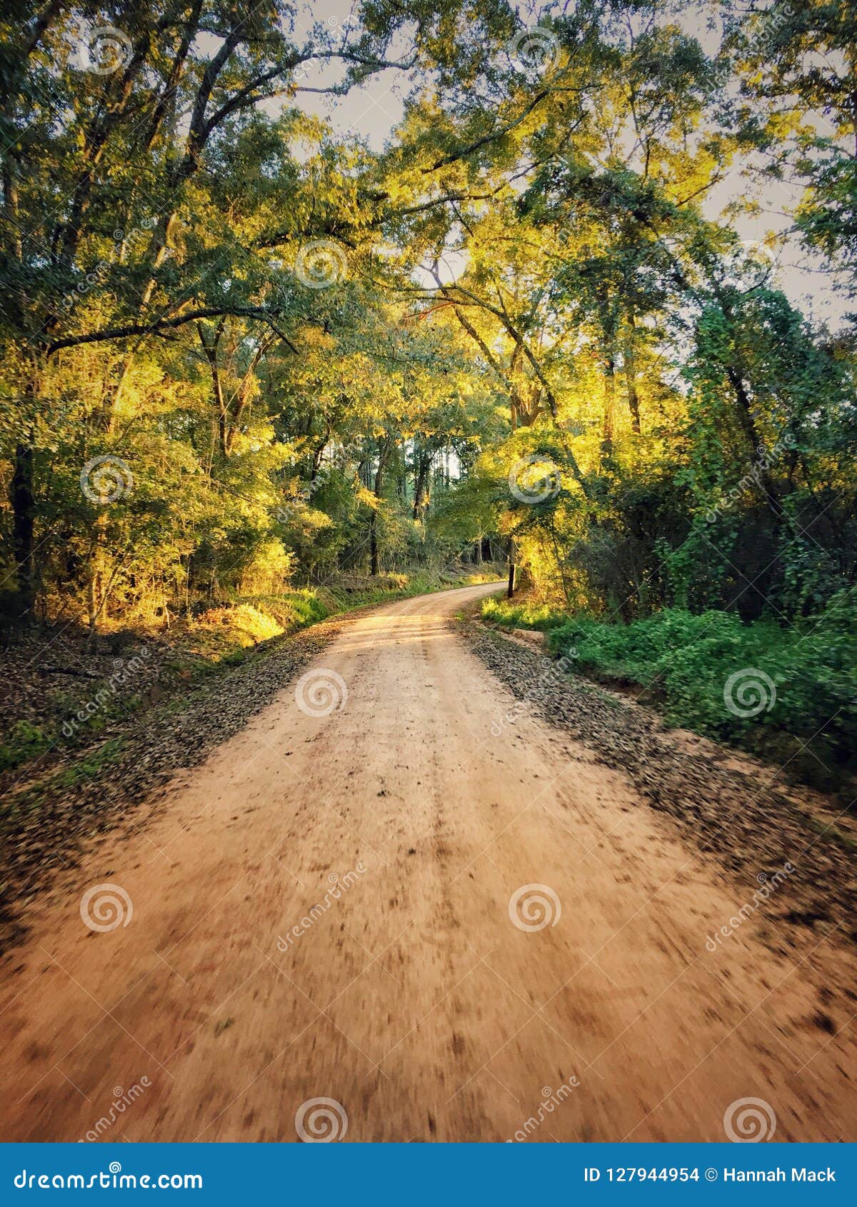 Backroads stock photo. Image of rural, woods, country - 127944954