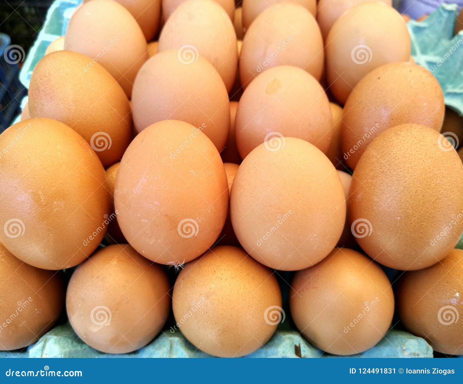 Backround of lots of eggs stock image. Image of chicken - 124491831
