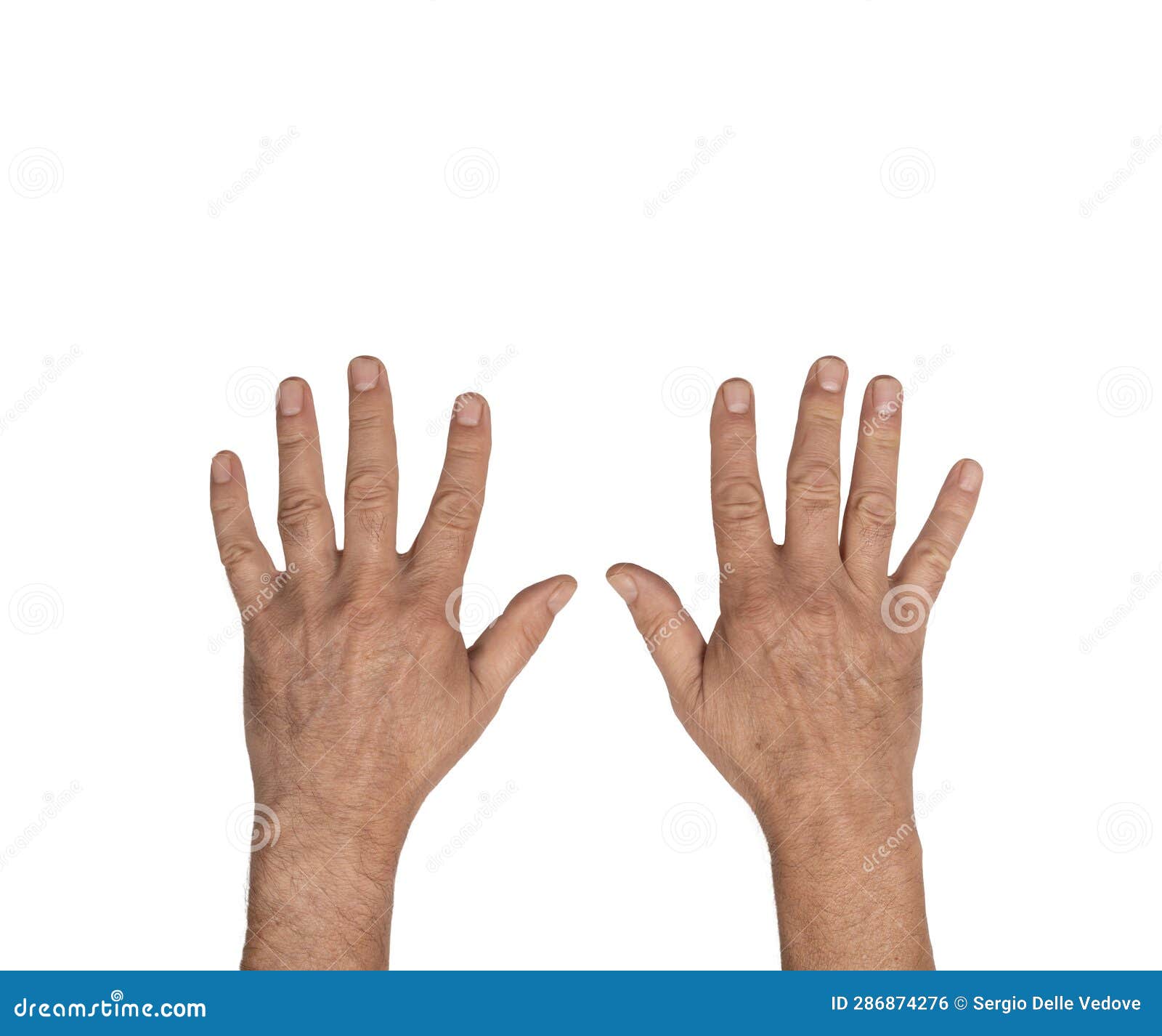 The backs of a man s hands stock photo. Image of hands - 286874276