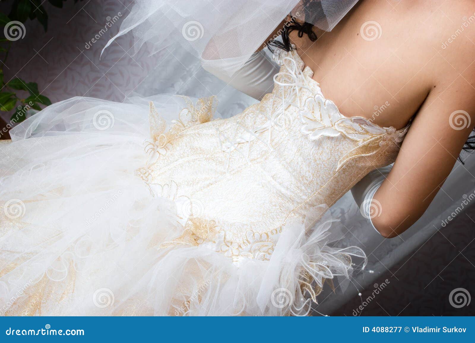 A Backside of a Dress of a Bride Stock Image - Image of celebration ...
