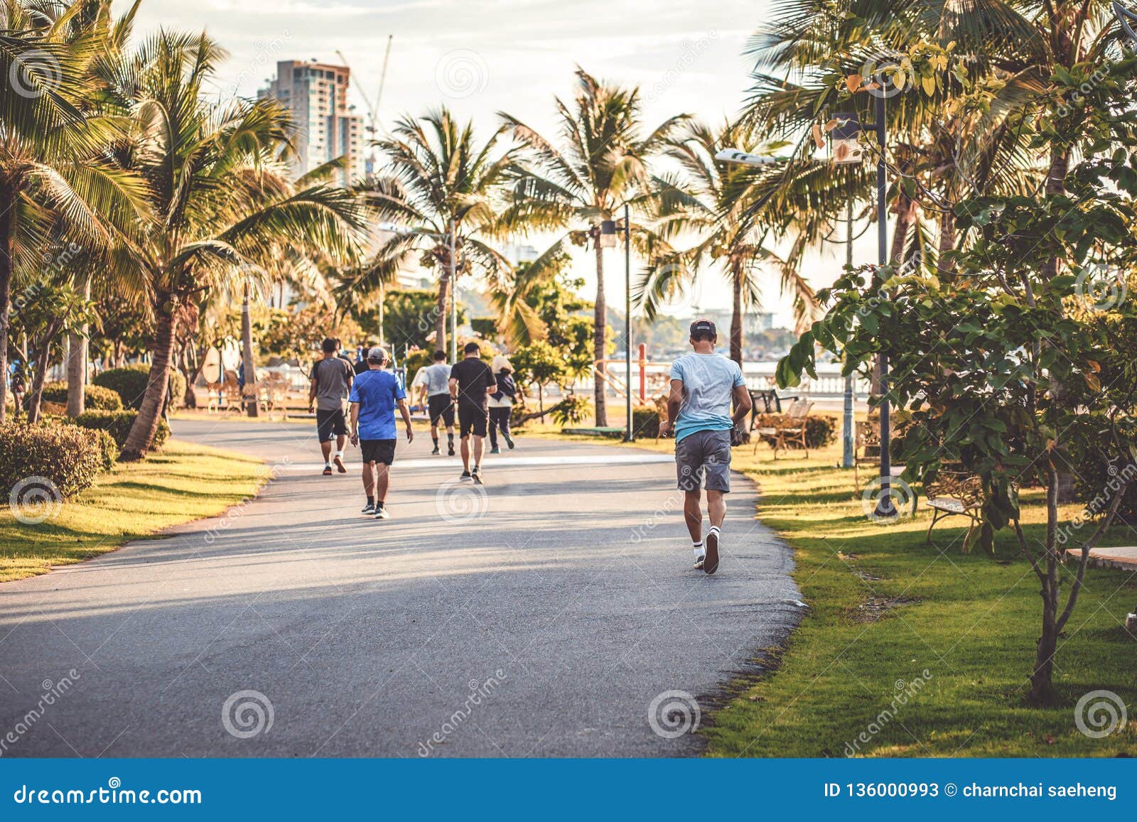 Backside People Jogging in the Park Editorial Stock Photo - Image of ...