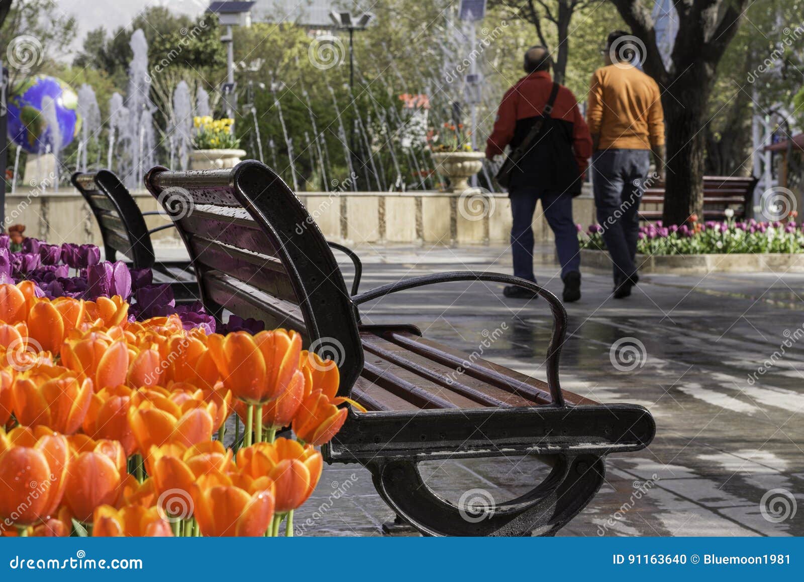 Backside of Two Men Walking at Outdoor Park Stock Photo - Image of ...