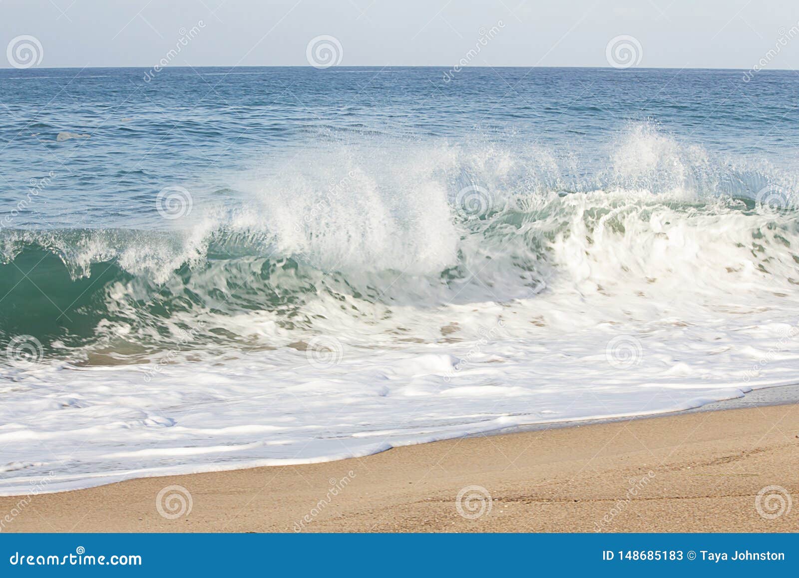 Backspray Cresting Wave with Backwash Foam Breaking on a Sandy ...