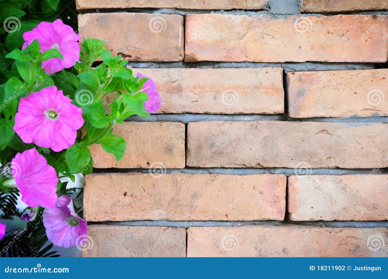 Backsteinmauer stockfoto. Bild von haus, schönheit, blume - 18211902