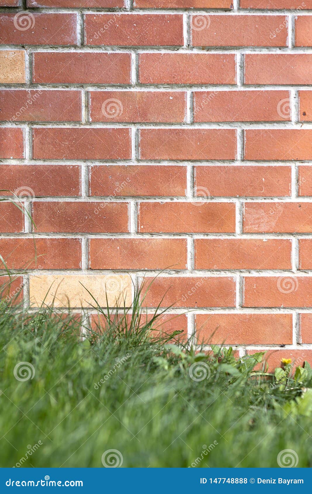 Backsteinmauer Gemasert Mit Gras Stockfoto - Bild von effekt, gras ...