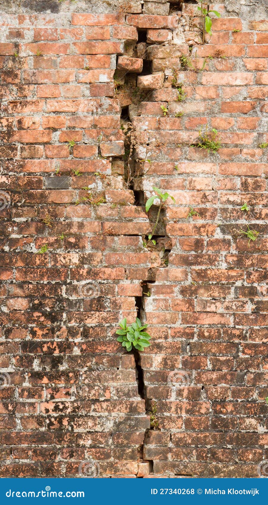 Backsteinmauer Mit Einem Sprung Und Anlagen Stockfoto - Bild von ...