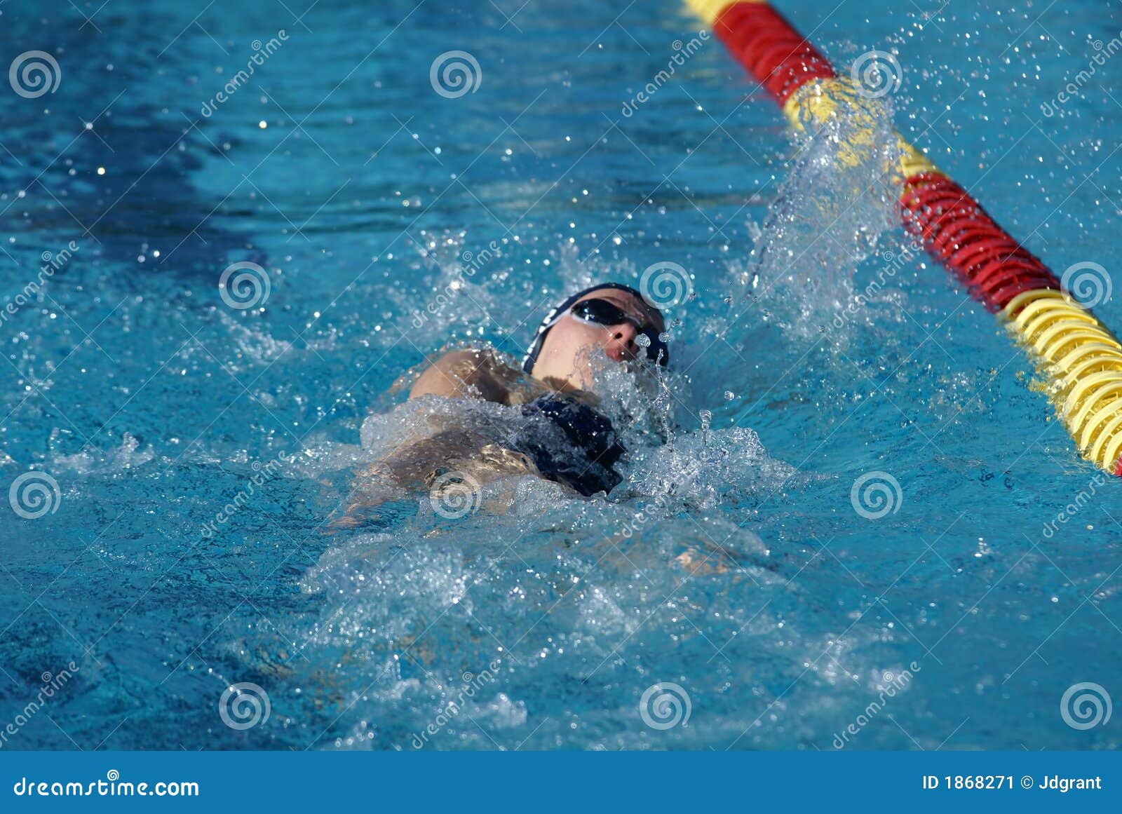 Backstroke Swimmer stock image. Image of active, female - 1868271