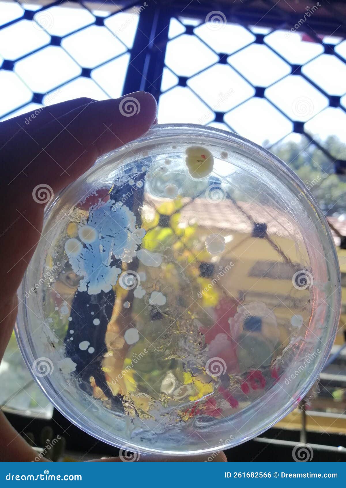 Bactery Pathogen Stock Photos - Free & Royalty-Free Stock Photos from ...