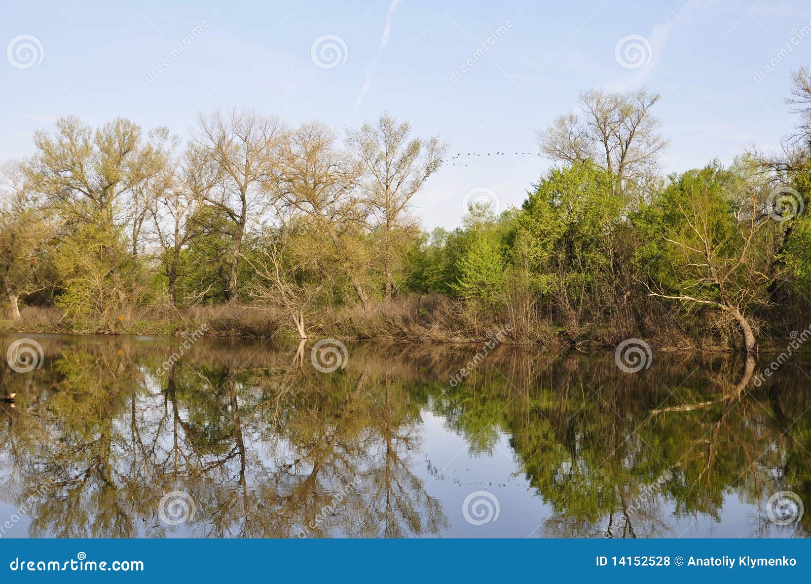 Backwater at the Dnieper River Stock Photo - Image of pool, birds: 14152528