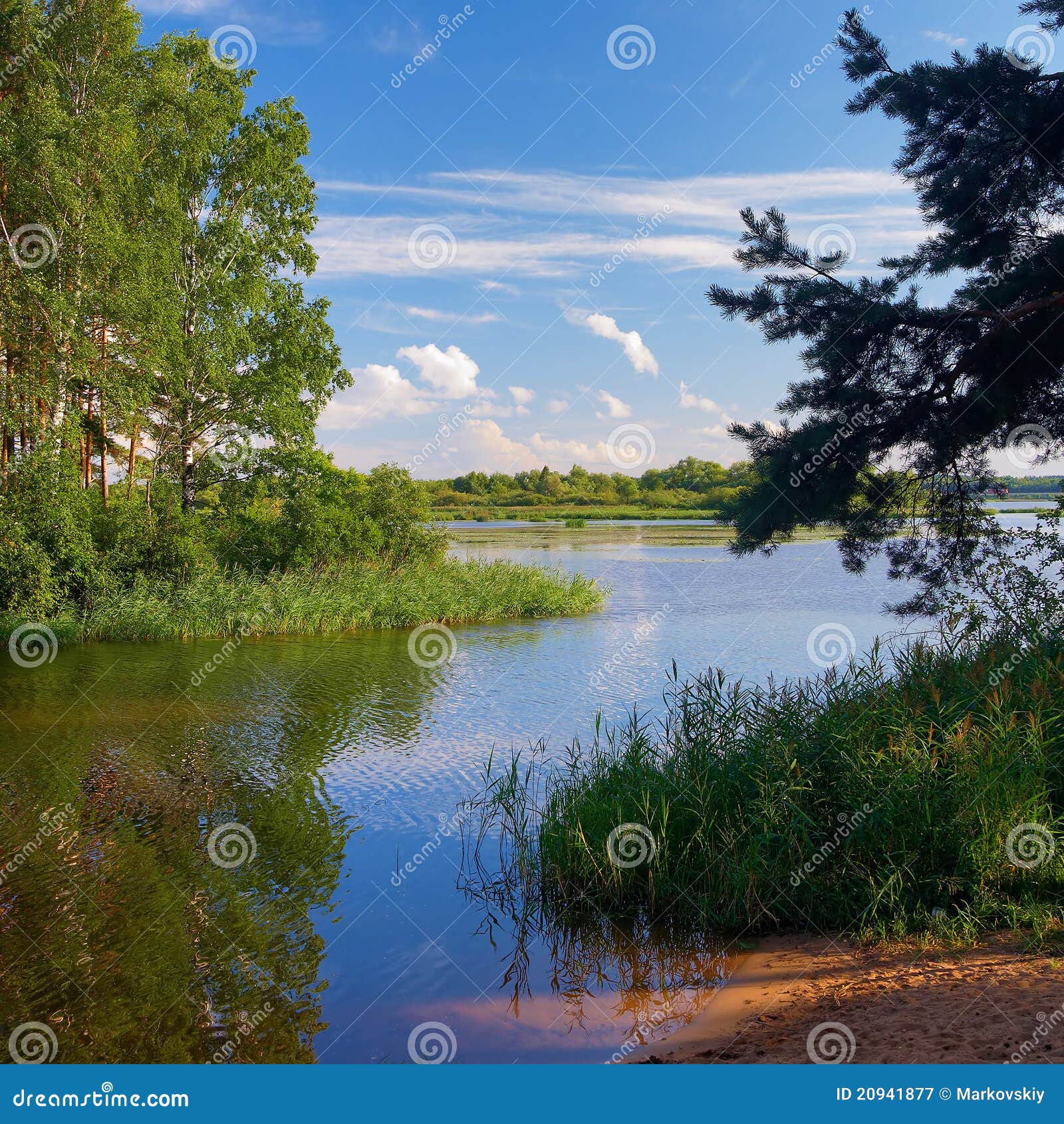 Backwater of the River at the Summer Evening Stock Image - Image of ...