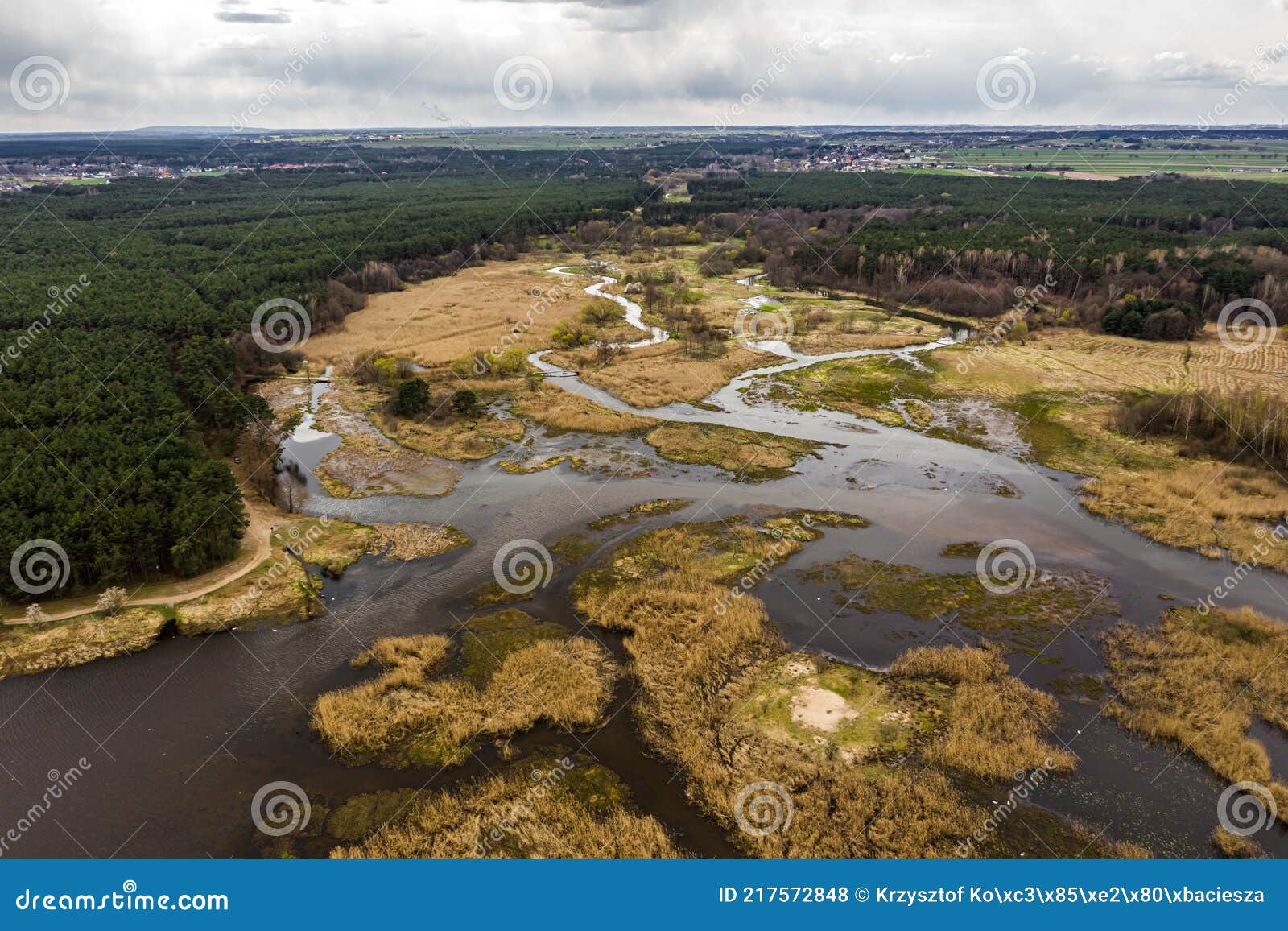 Backwaters of the Pilica River and the Sulejowski Reservoir Stock Photo ...