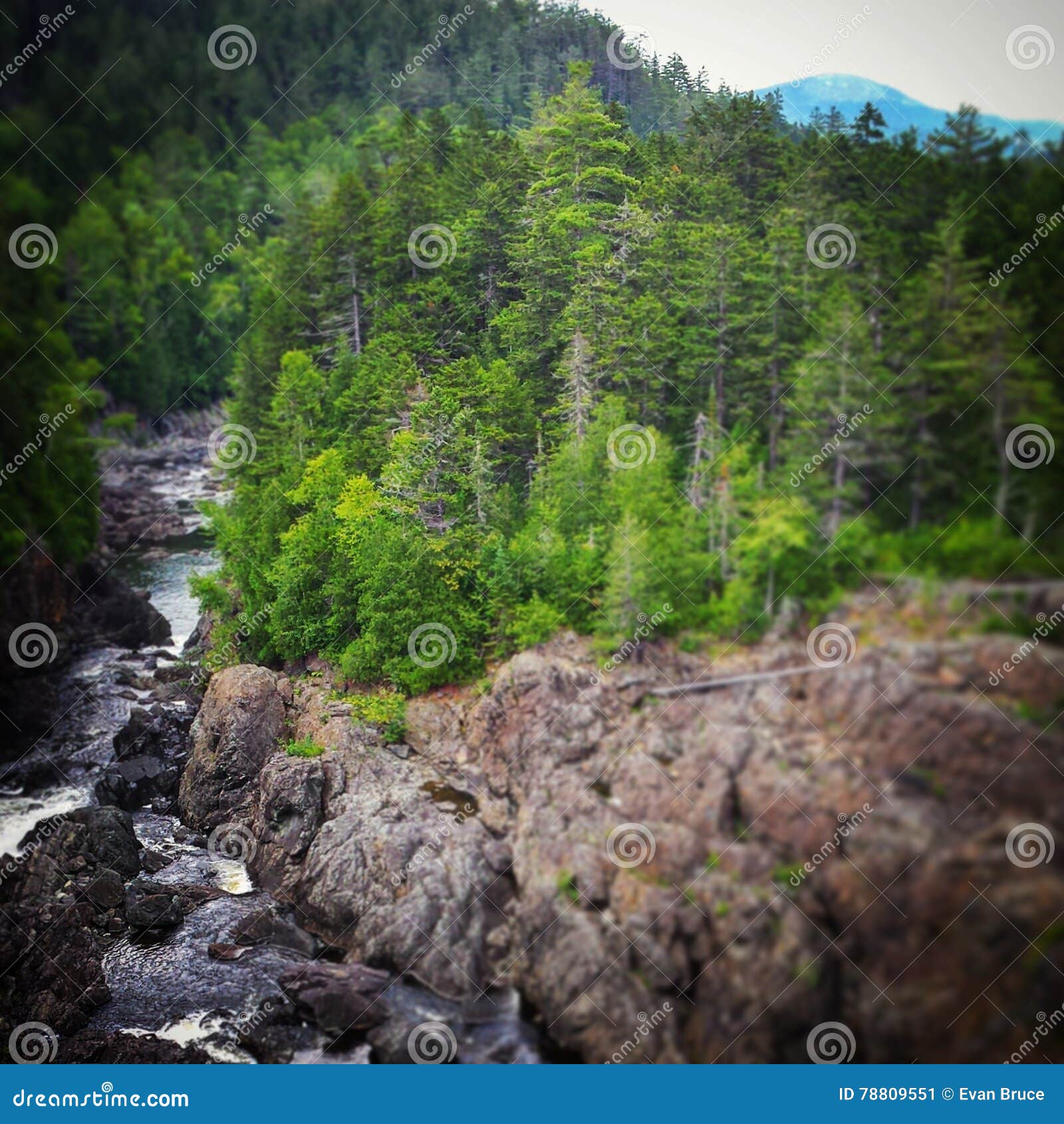 Backwoods beauty stock image. Image of backgrpund, kathadin - 78809551