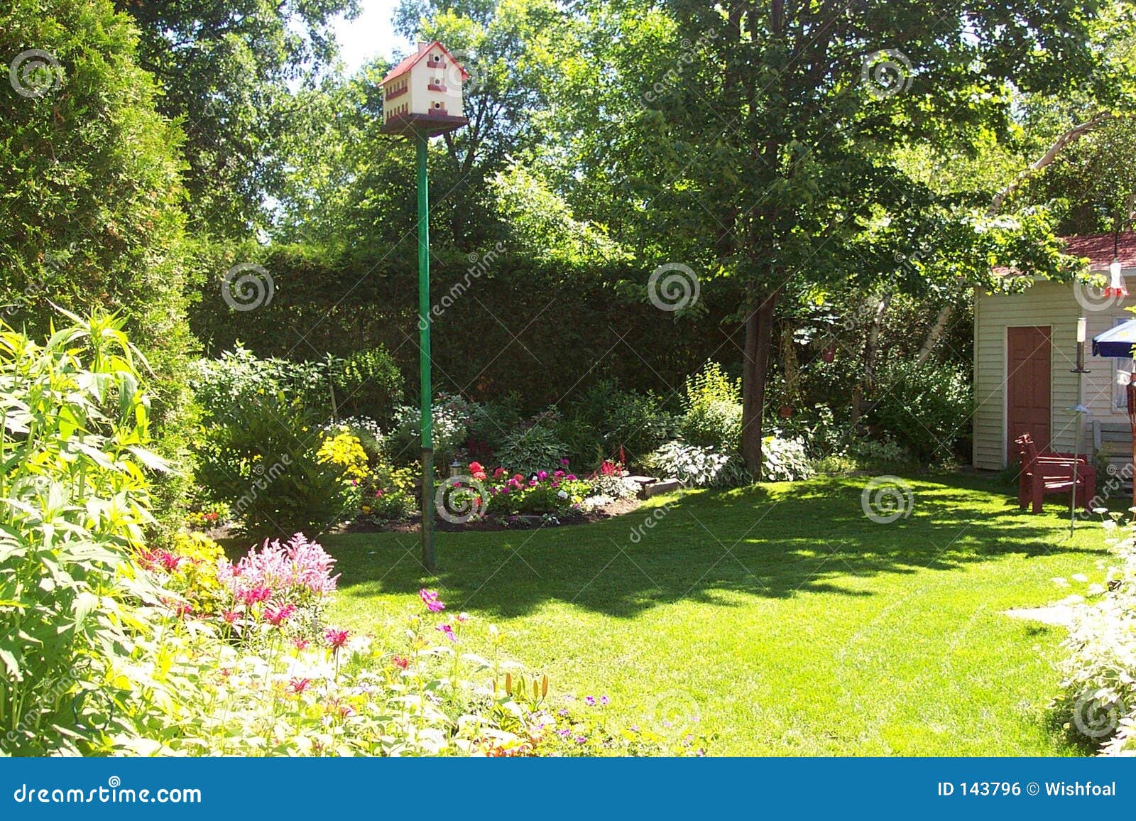 Backyard stock photo. Image of back, home, yard, peaceful - 143796