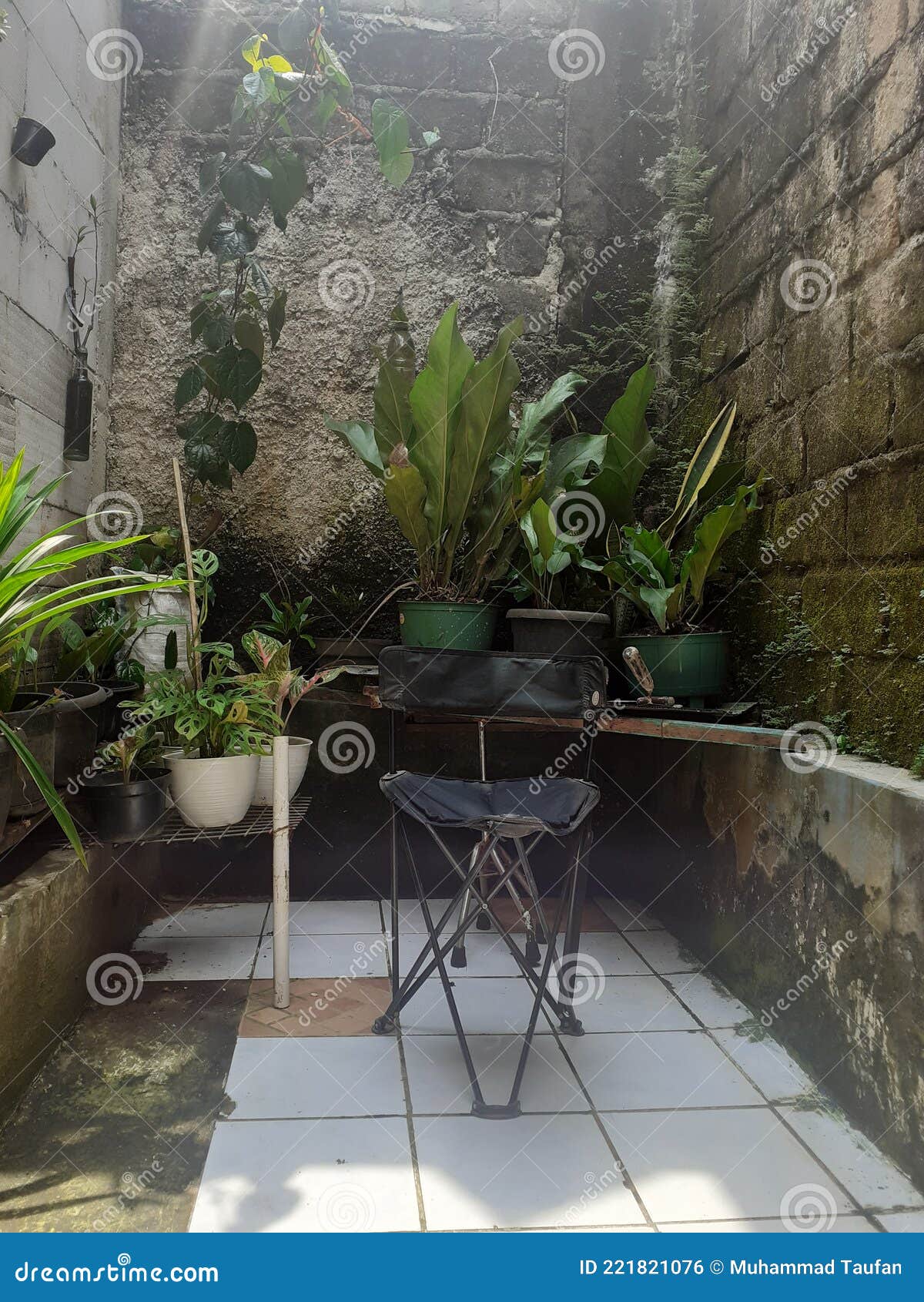 Backyard Alley Scenery stock photo. Image of infrastructure - 221821076