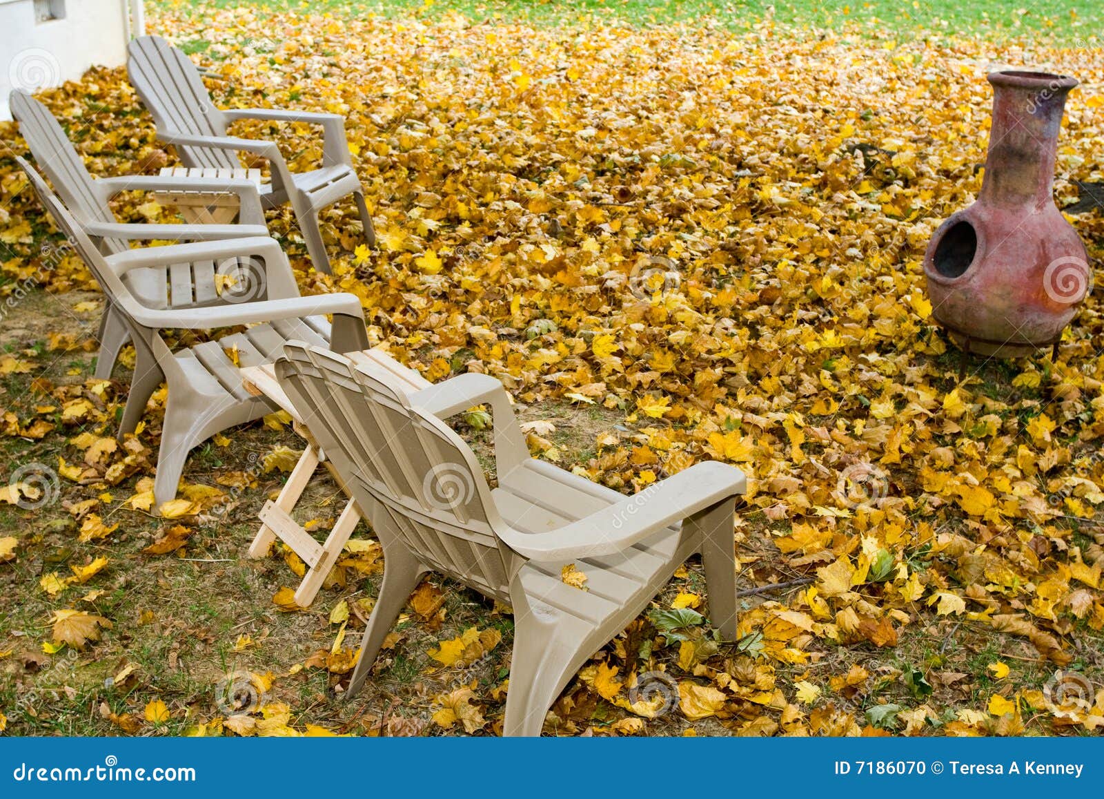 Backyard in Autumn stock photo. Image of lawn, peaceful - 7186070