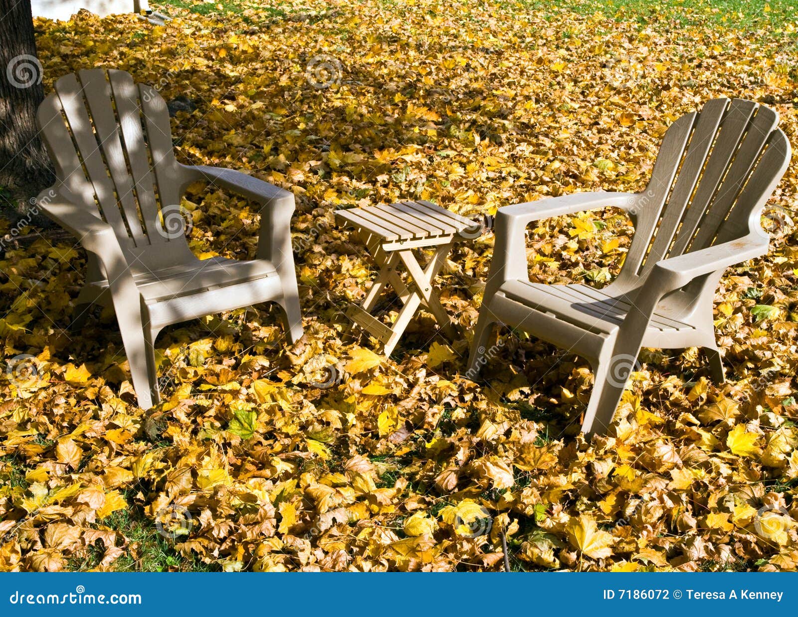 Backyard in Autumn stock photo. Image of season, backyard - 7186072