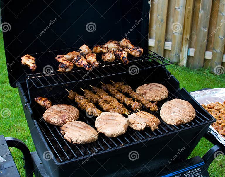 Backyard Barbecue stock image. Image of beef, charcoal - 6040805