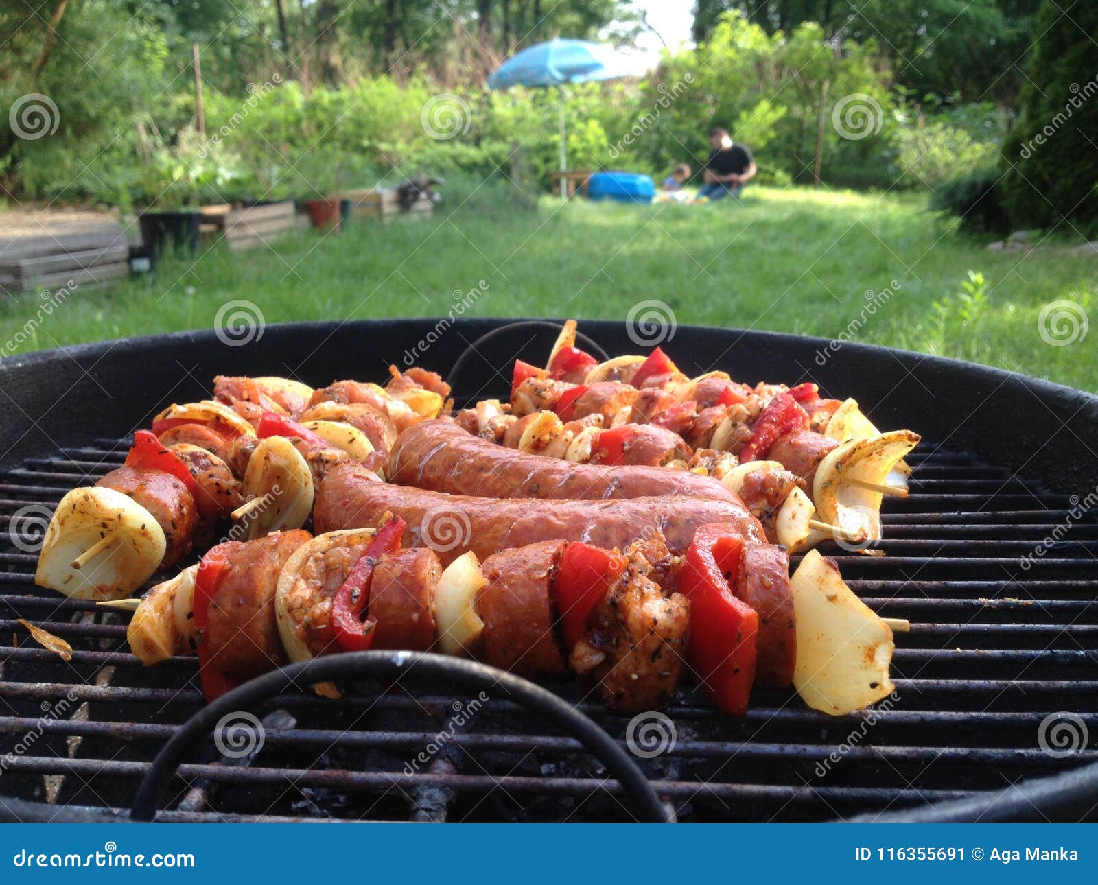 Backyard barbecue stock image. Image of barbecued, familly - 116355691