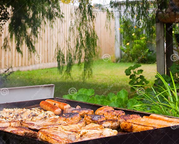 Backyard Barbeque stock photo. Image of beef, outdoor - 8938910