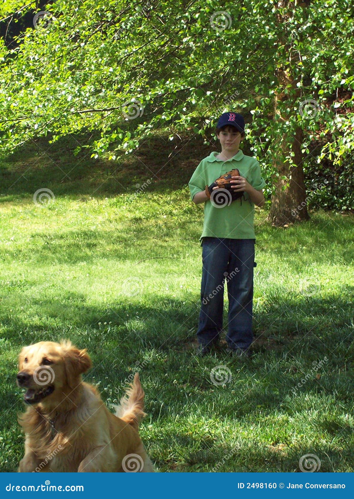 Backyard Baseball with the Dog Stock Photo - Image of child, baseball ...