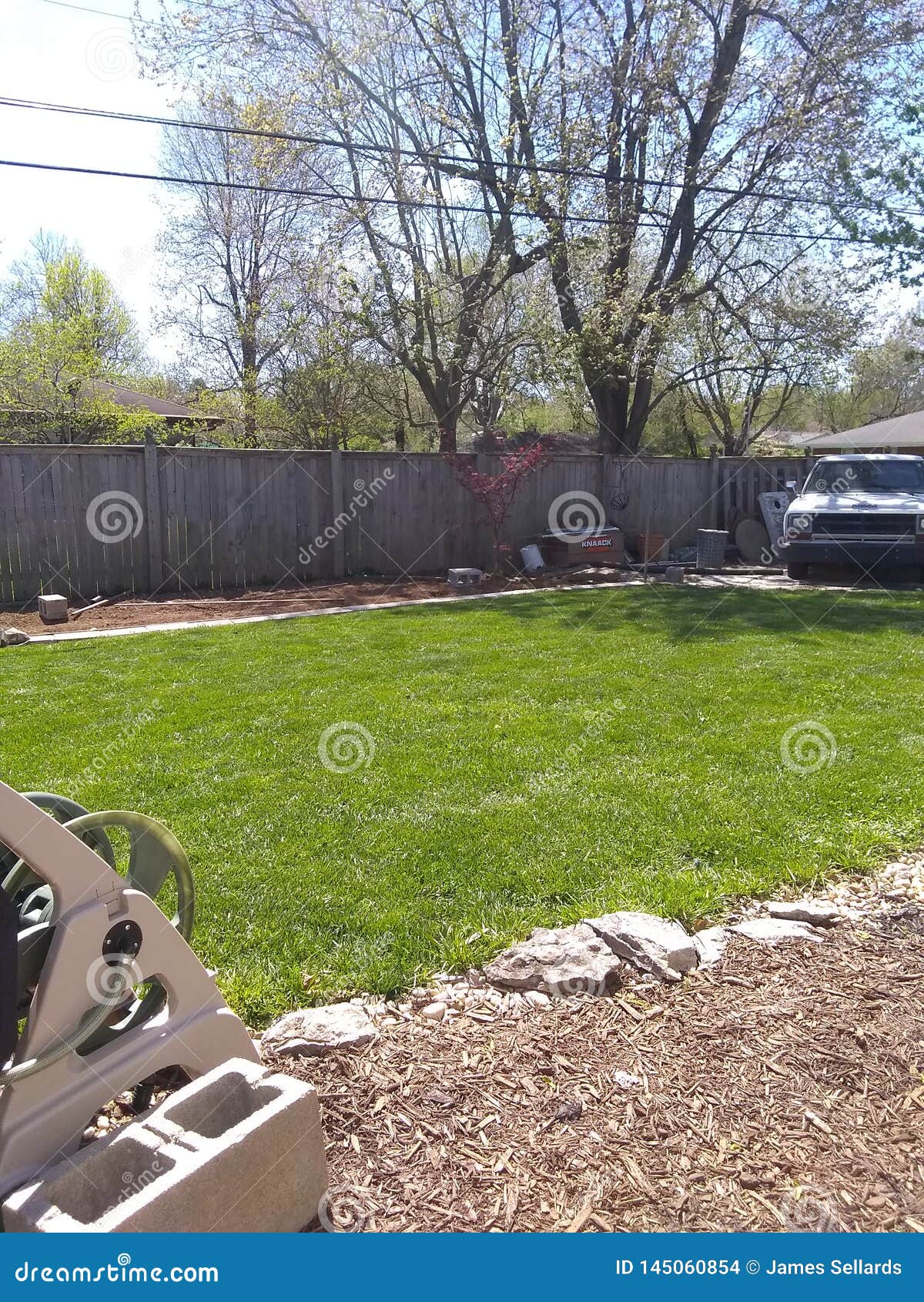 Backyard with Beautiful Green Grass Editorial Stock Image - Image of ...