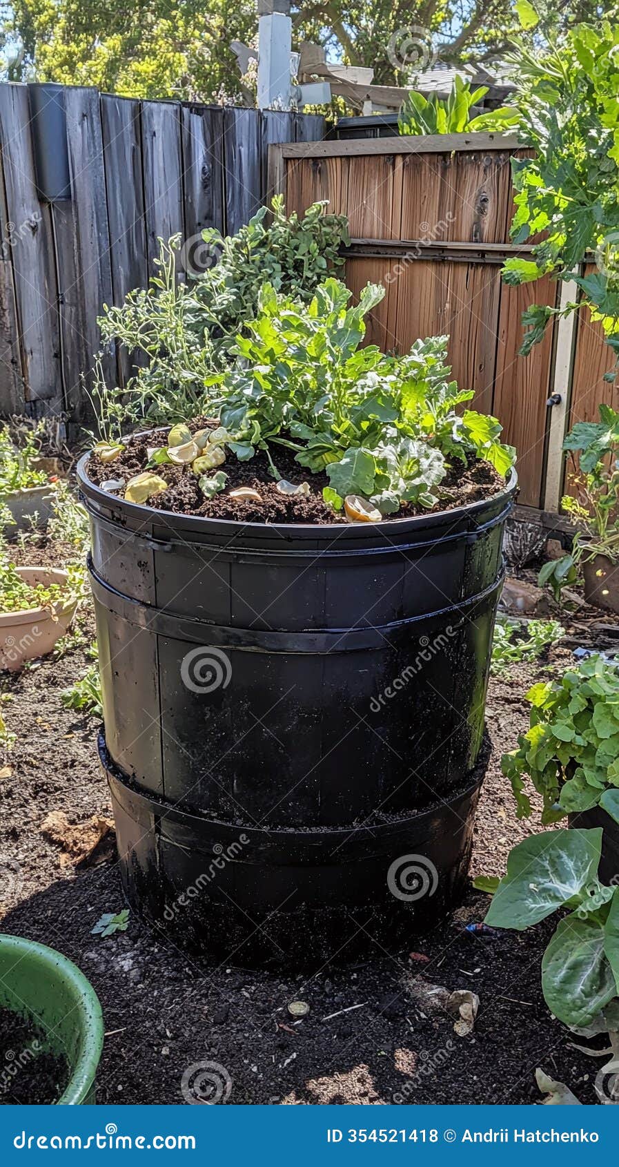 Backyard Compost Bin Overflowing With Food Scraps, Worms, Food Waste ...
