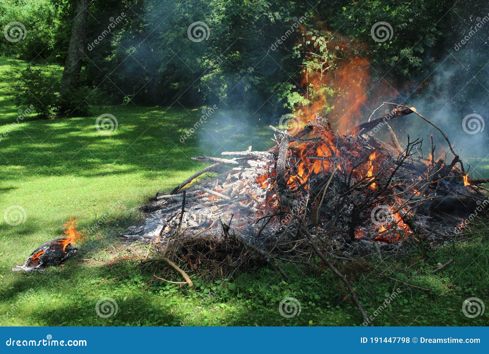 Backyard controlled burn stock photo. Image of weeds - 191447798