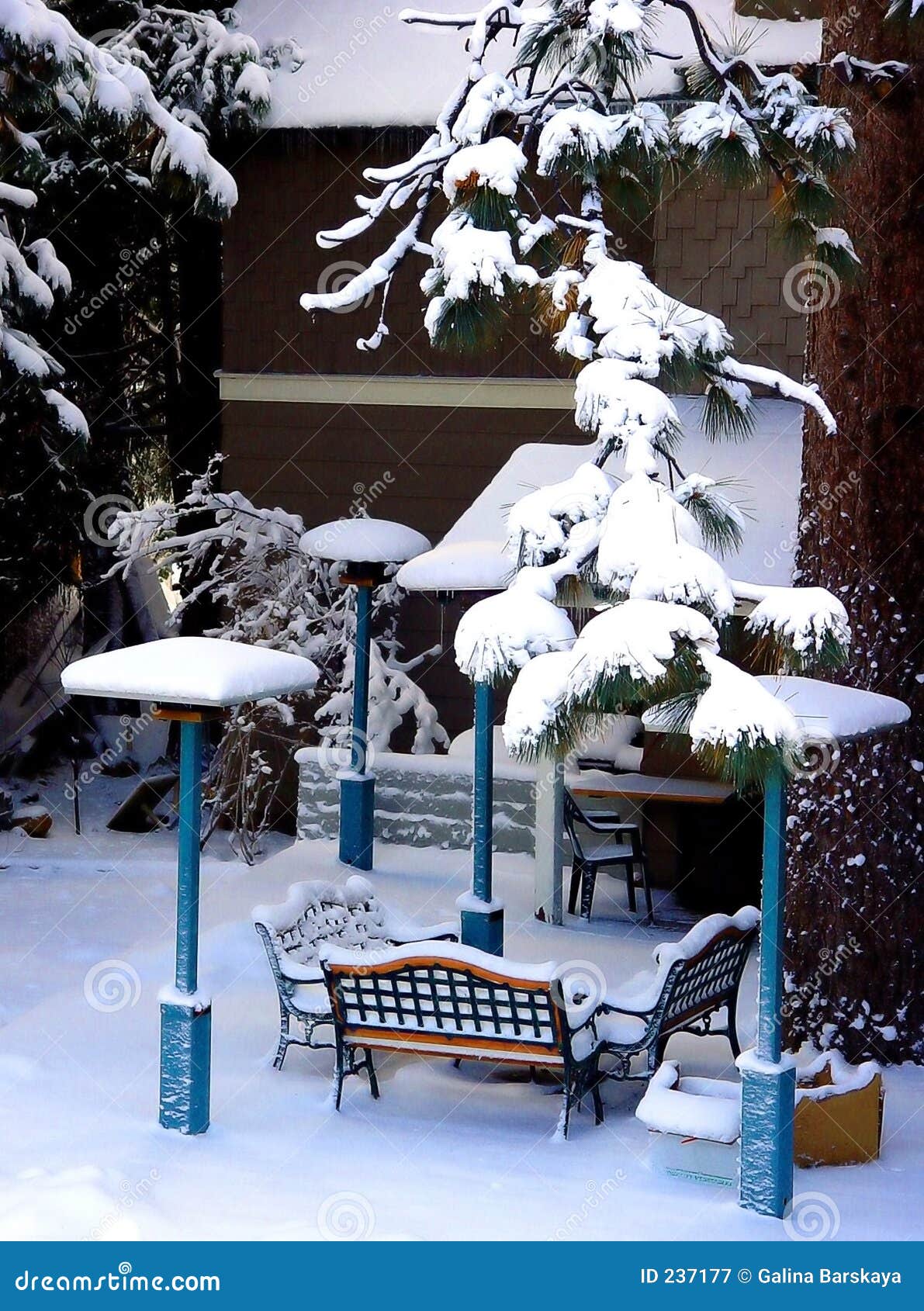 Backyard covered with snow stock image. Image of house - 237177