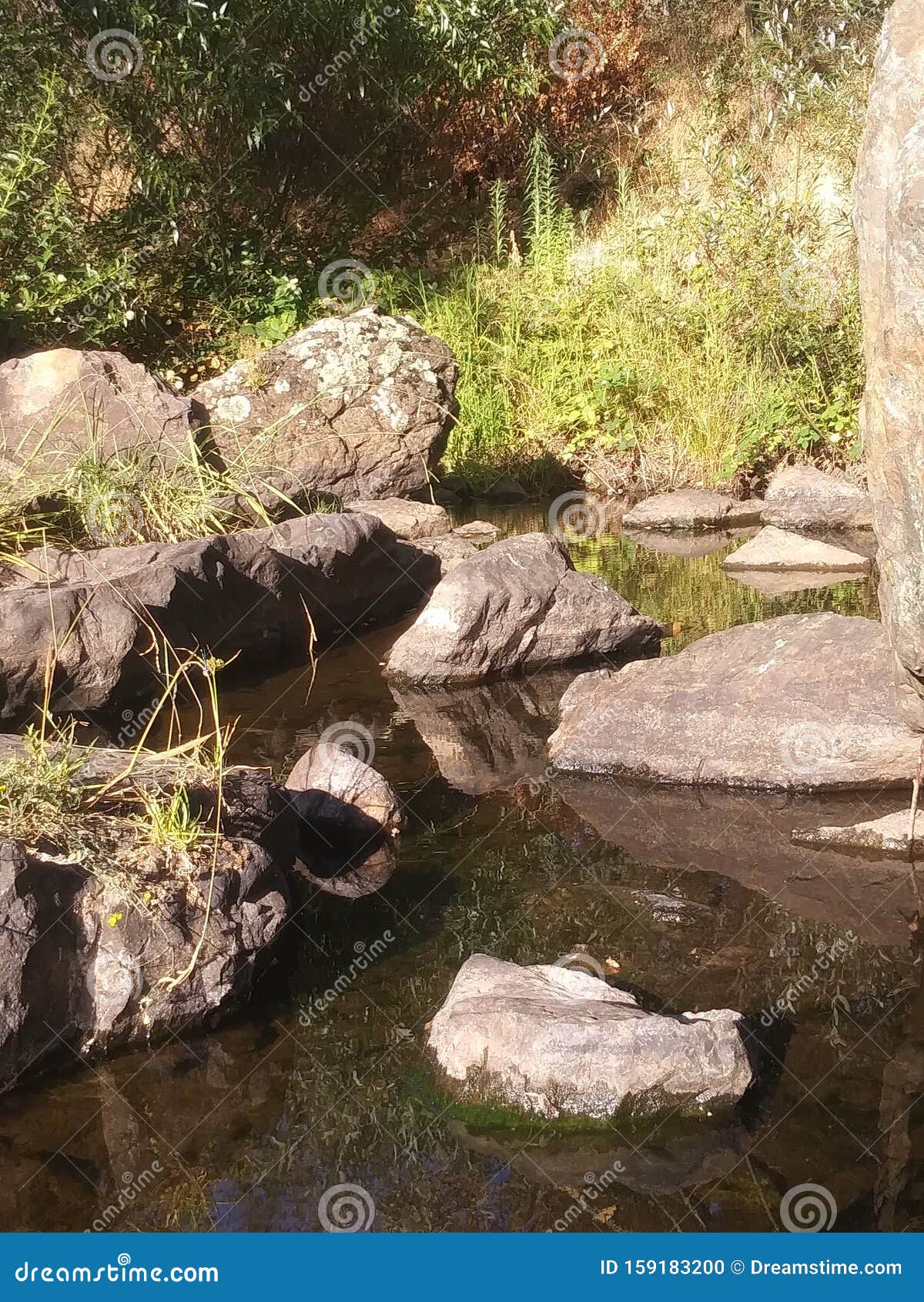 Backyard Creek Nature Rocks Water Stock Photo - Image of creek, rocks ...