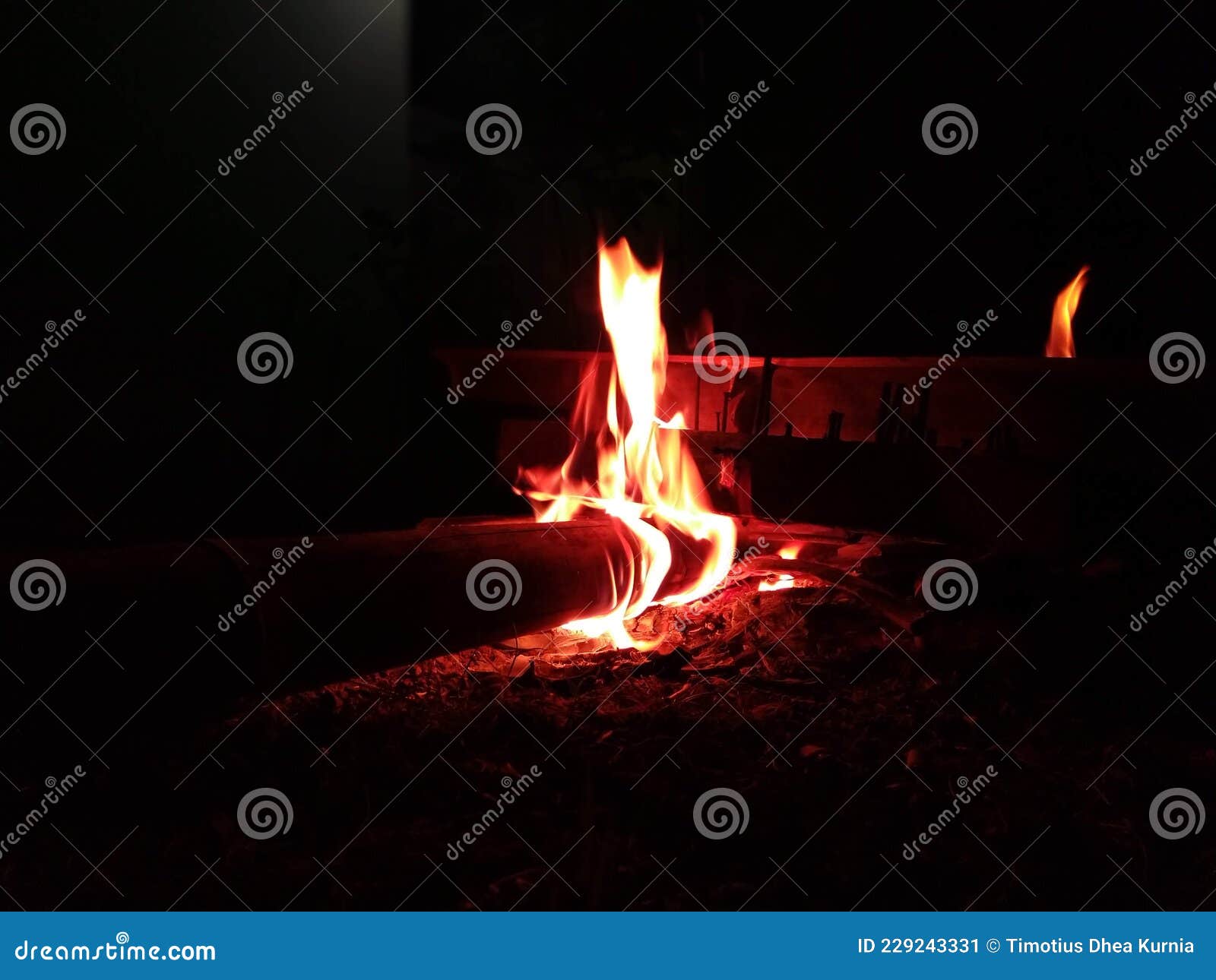 Backyard Fire Camp. Night. Fire. Logs. Woods Stock Image - Image of ...