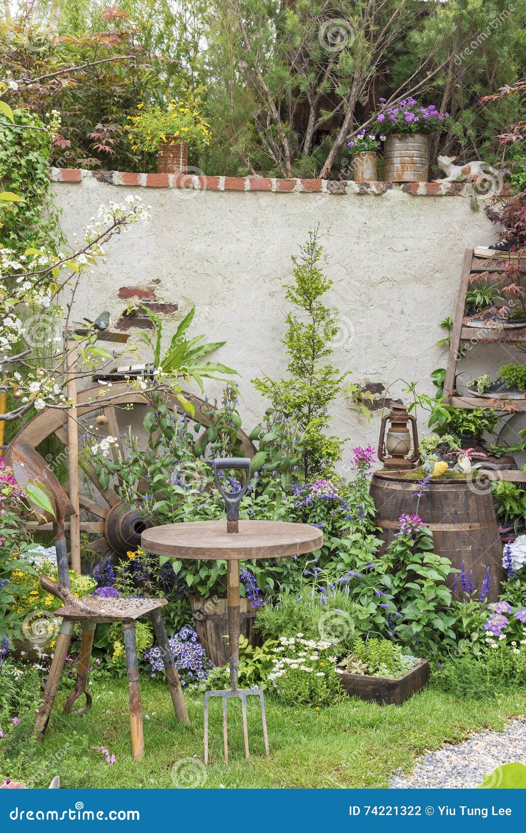 Backyard garden stock photo. Image of nature, furniture - 74221322