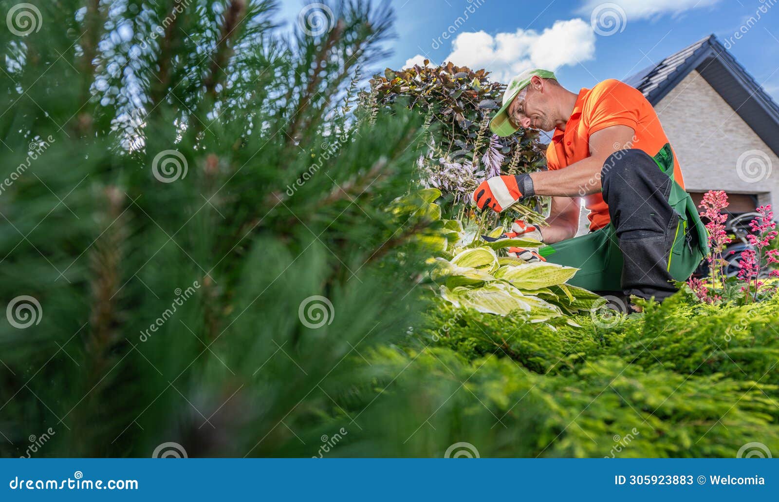 Backyard Garden Job. Checking and Trimming Plants Stock Image - Image ...