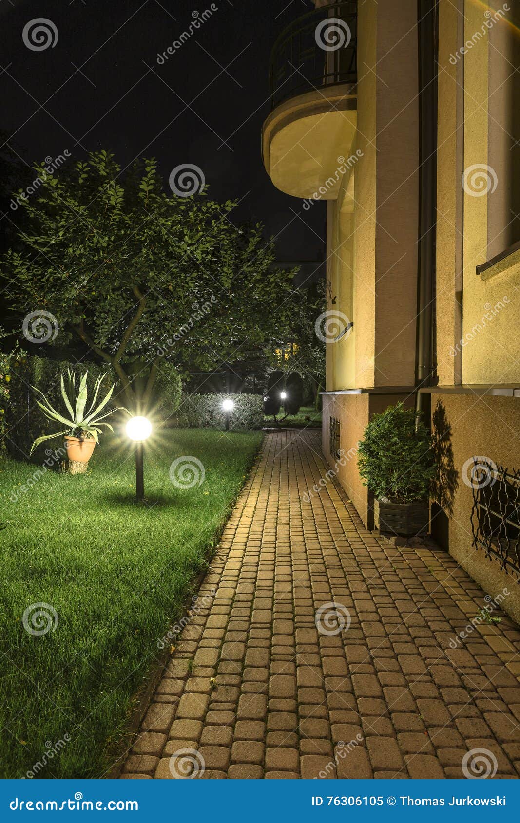 Backyard Garden Path at Night Stock Image - Image of plant, nature ...